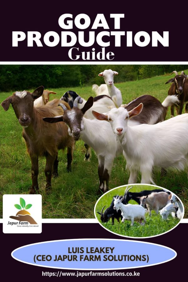 GOAT PRODUCTION – Japur Academy