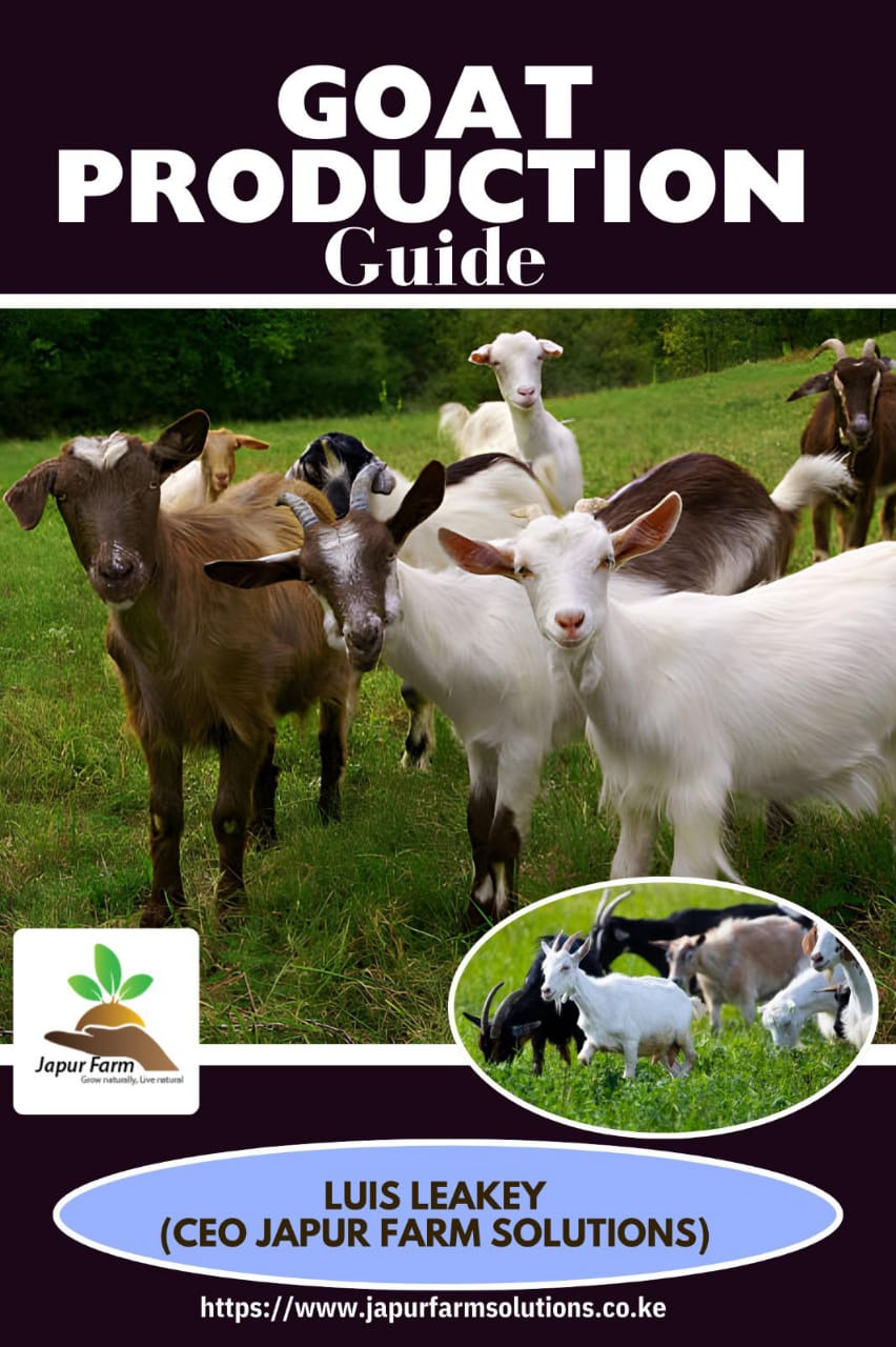 GOAT PRODUCTION – Japur Academy